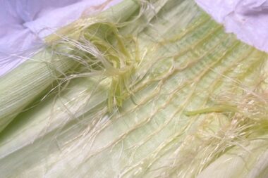 The Slickest Way To Cook Corn On The Cob And Leave Those Silks Behind ...