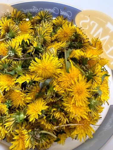 Make 6 Jars Of Fascinating Beautiful Dandelion Jelly - Yeyfood.com ...