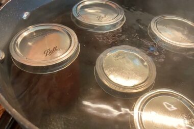 Make Easy Raspberry Jam With Fresh Or Frozen Berries - Yeyfood.com ...