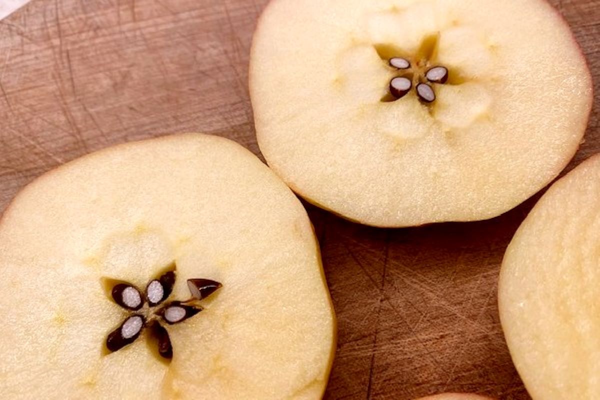 Air-Fried Apple Rings Are Incredibly Quick - Yeyfood.com: Recipes ...