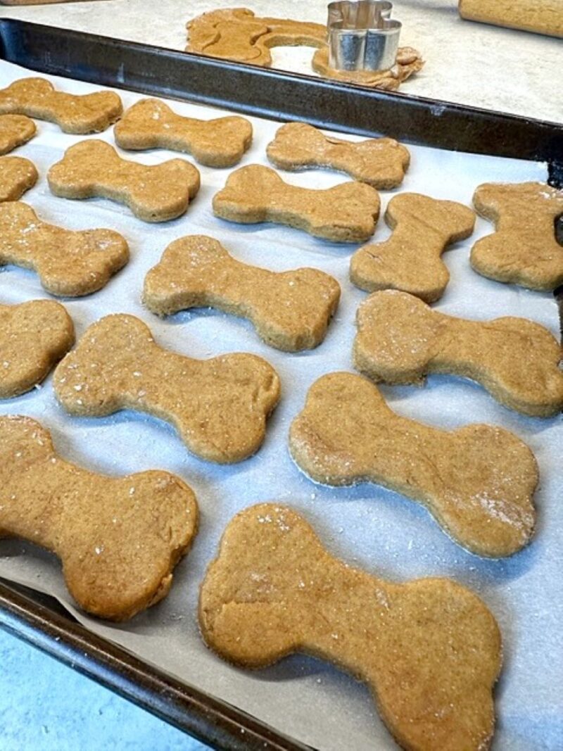 Easy Homemade Pumpkin Dog Treats - Yeyfood.com: Recipes, cooking tips ...