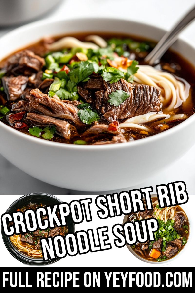 Crockpot Short Rib Noodle Soup - Yeyfood.com: Recipes, cooking tips ...
